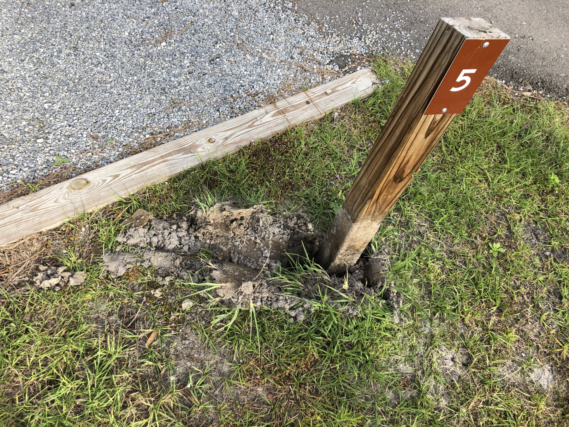 Near Accident when Camping Recently – John Marucci – On The Road
