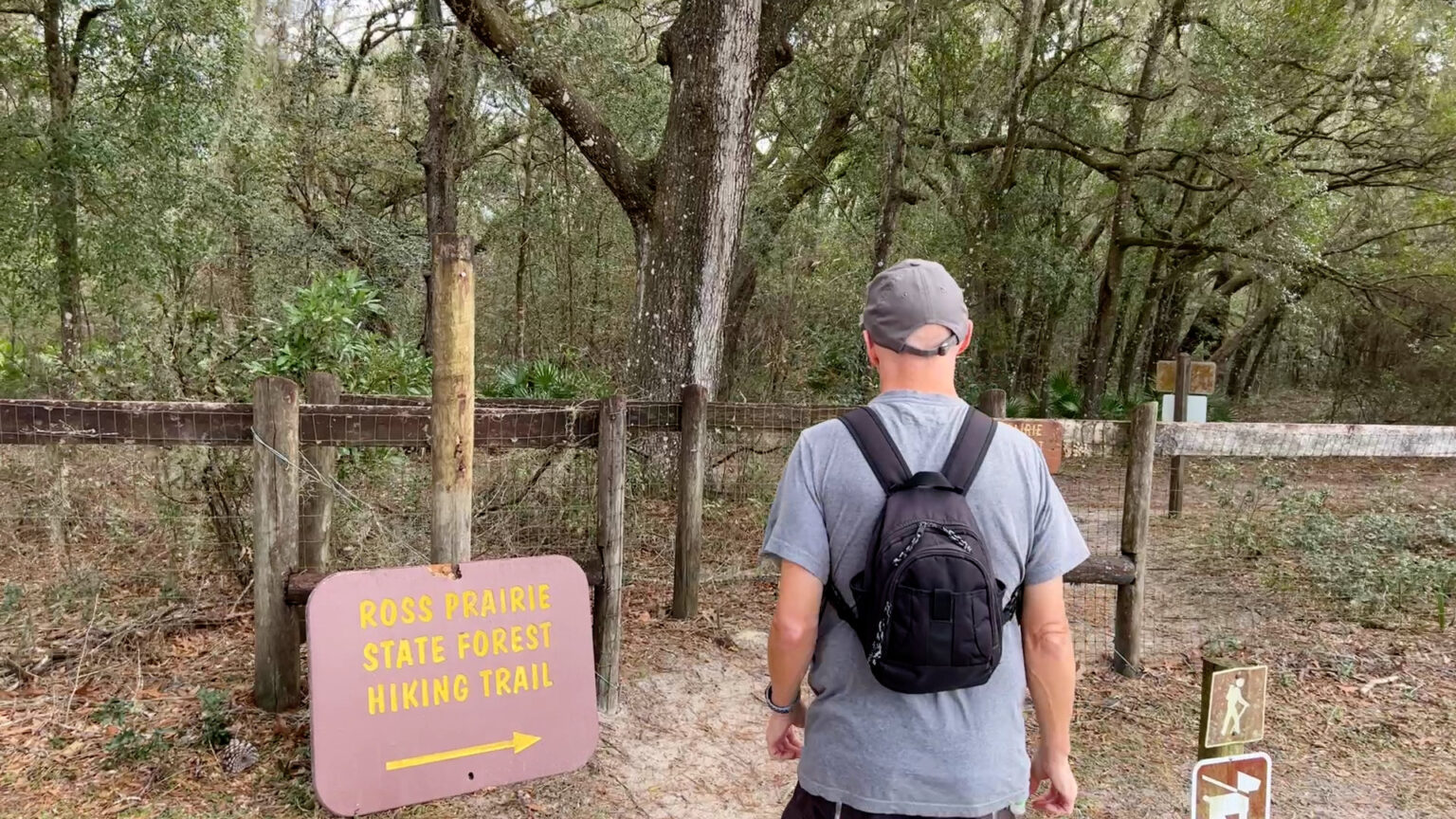 Ross Prairie Trailhead & Campground Review – Florida – John Marucci ...